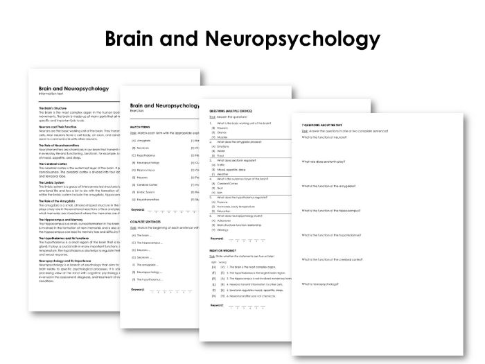 Brain and Neuropsychology | Teaching Resources