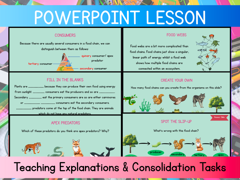 Food Chains & Food Webs - Science Lesson PowerPoint Presentation ...