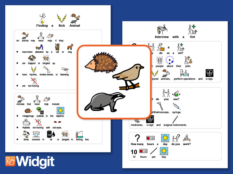 Widgit Software's Shop - Teaching Resources - TES