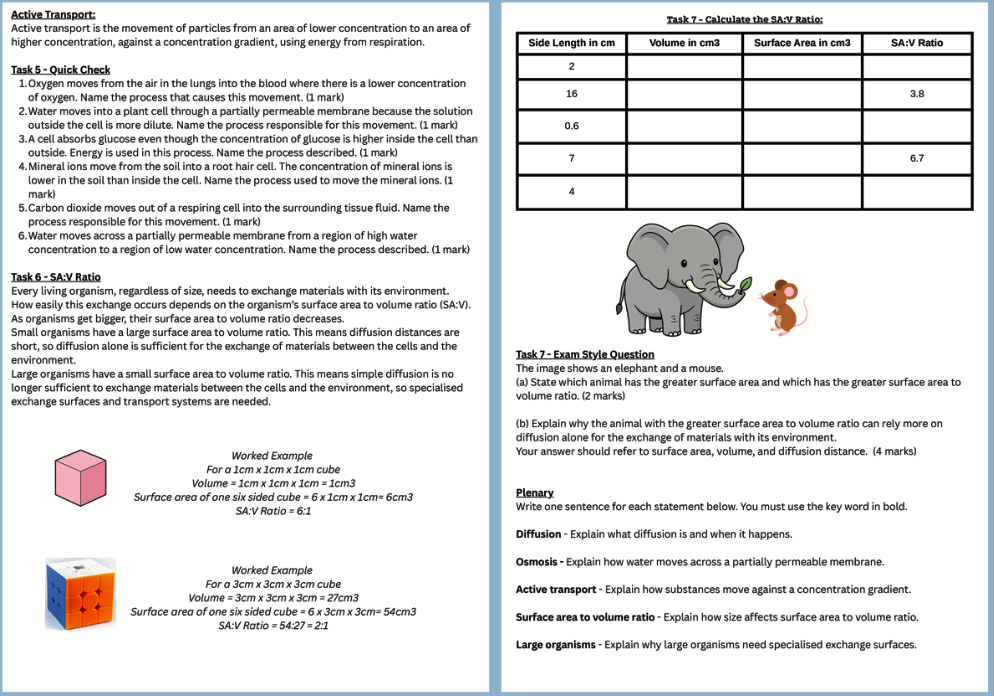 B1 Revision / Cells & Transport Lesson/Worksheet With Answers/GCSE/AQA ...