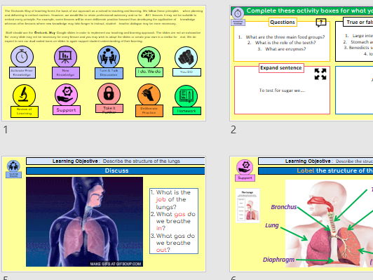 KS3 Science – Complete PowerPoint lesson on the Structure of the Lungs | Teaching Resources
