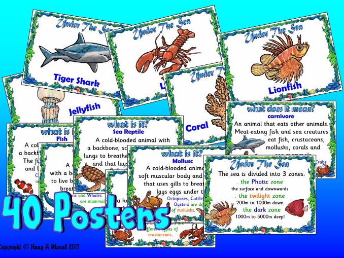 Under The Sea Bundle | Teaching Resources