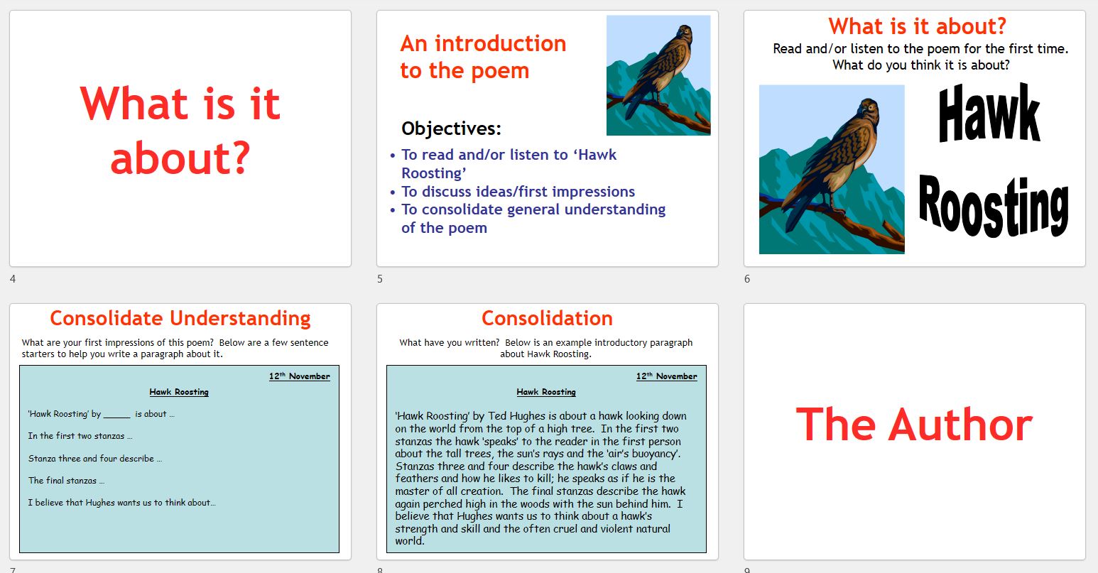 Hawk Roosting by Ted Hughes | Teaching Resources