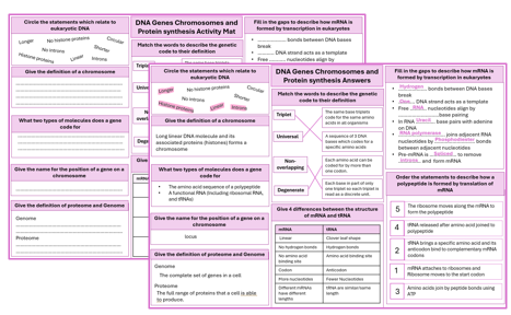 DNA Genes Chromosomes and Protein Synthesis A Level AQA Biology ...