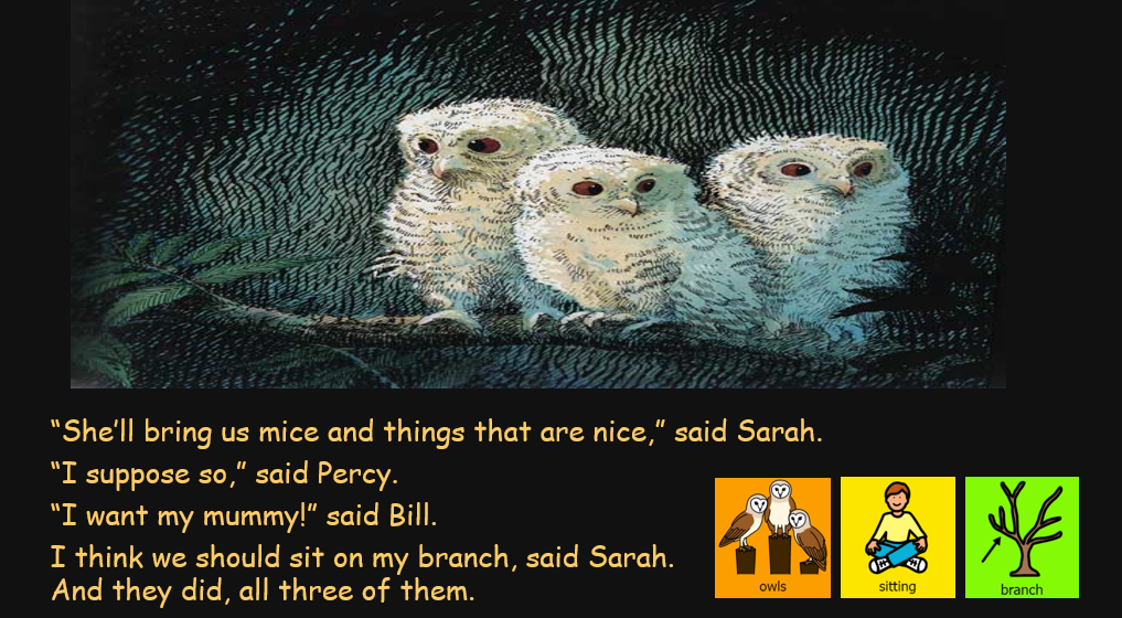 Owl Babies PPT with Colourful Semantics | Teaching Resources