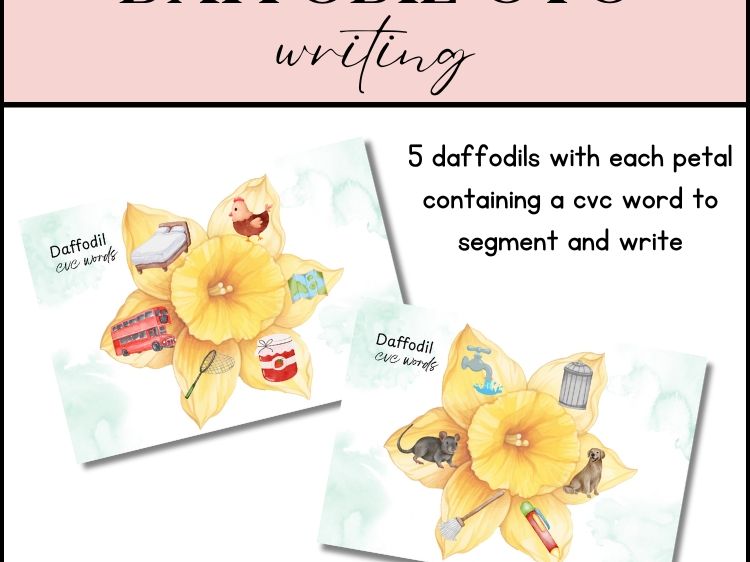St David’s Day CVC & Digraph Daffodil | Teaching Resources