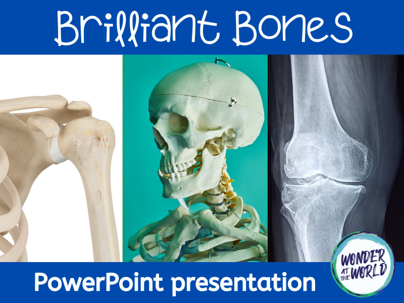 Animals and Habitats: Primary Science Teaching Resources ǀ Tes