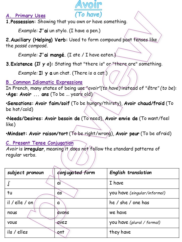 Avoir | To have | French | Explanation | Exercises | Teaching Resources