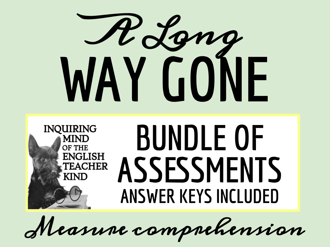 A Long Way Gone by Ishmael Beah Quiz Bundle | Teaching Resources