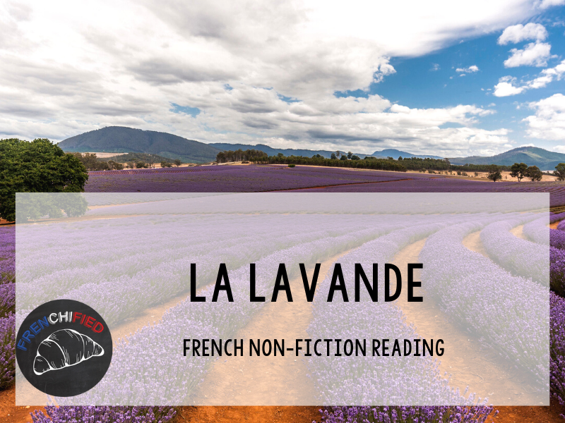 Secondary French resources