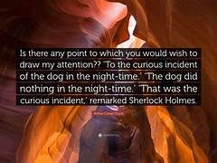 "The curious incident of the dog in the night-time" EXAM QUESTIONS GCSE ...