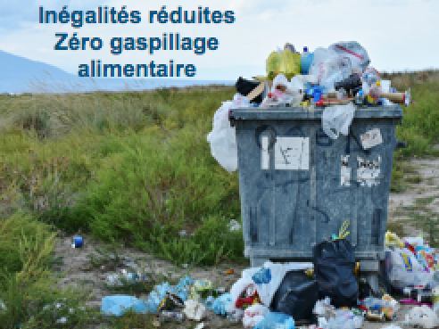 Food Waste - French | Teaching Resources