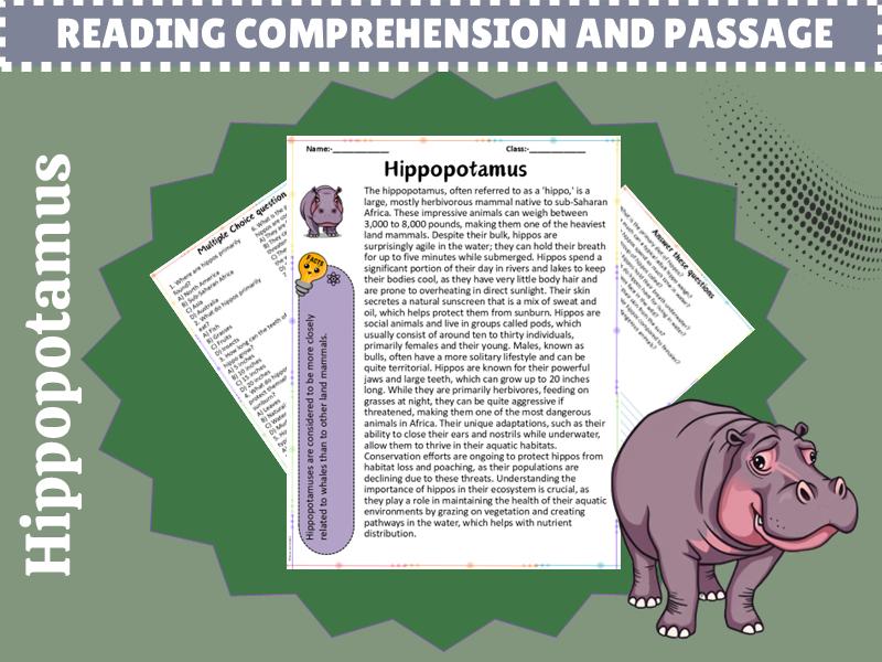 Hippopotamus Exploration: Engaging Reading Passage & Thought-Provoking ...
