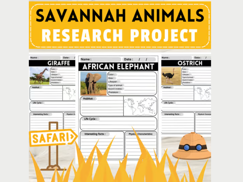 Savannah Safari Animal Research Project Templates | Informational ...