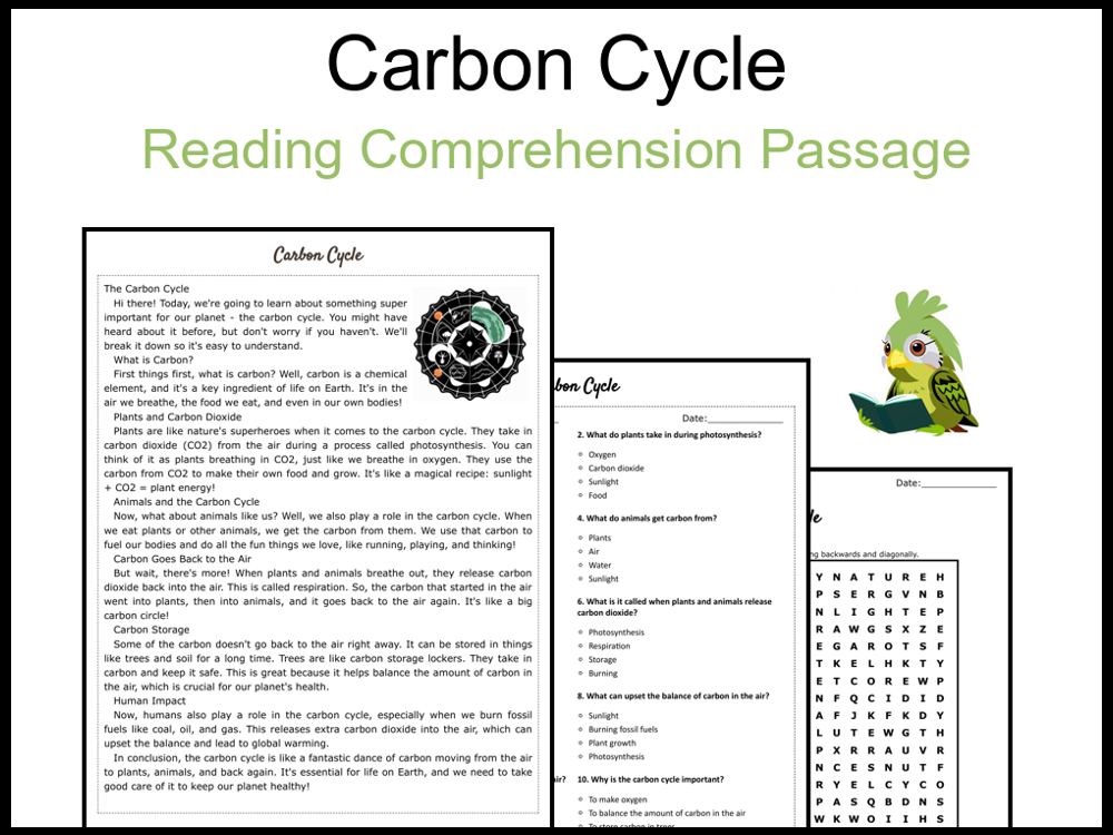 Carbon Cycle Reading Comprehension and Word Search | Teaching Resources