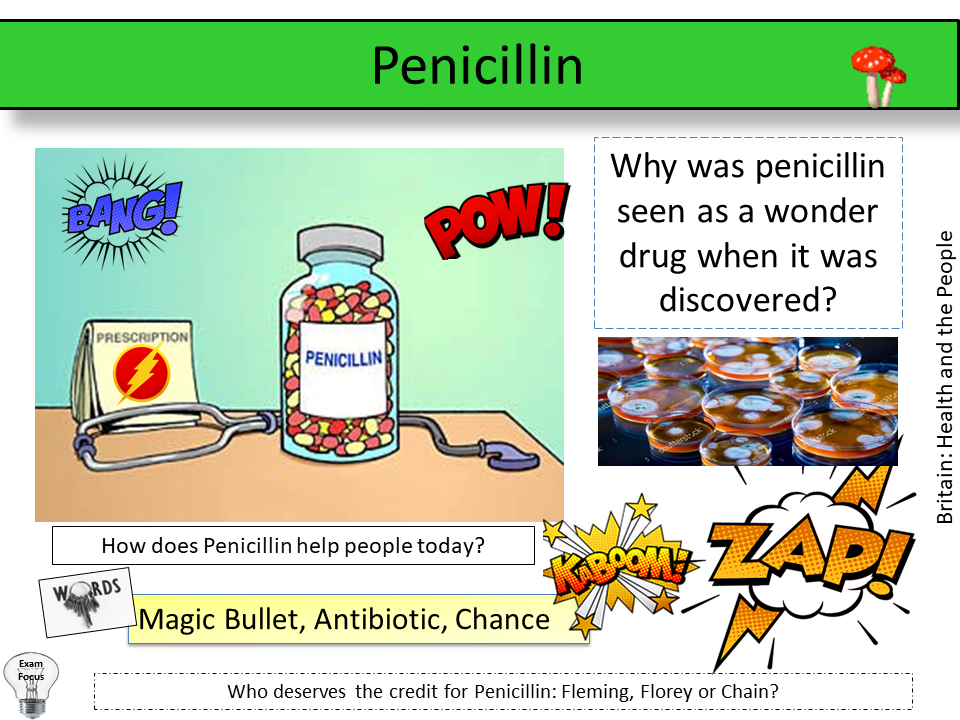 Alexander Fleming and penicillin | Teaching Resources