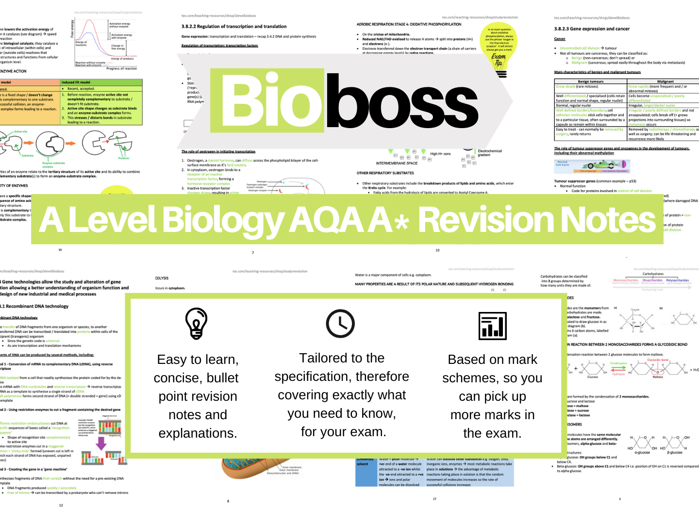 CONCISE A* Complete A Level Biology AQA Spec & Mark Scheme Based ...