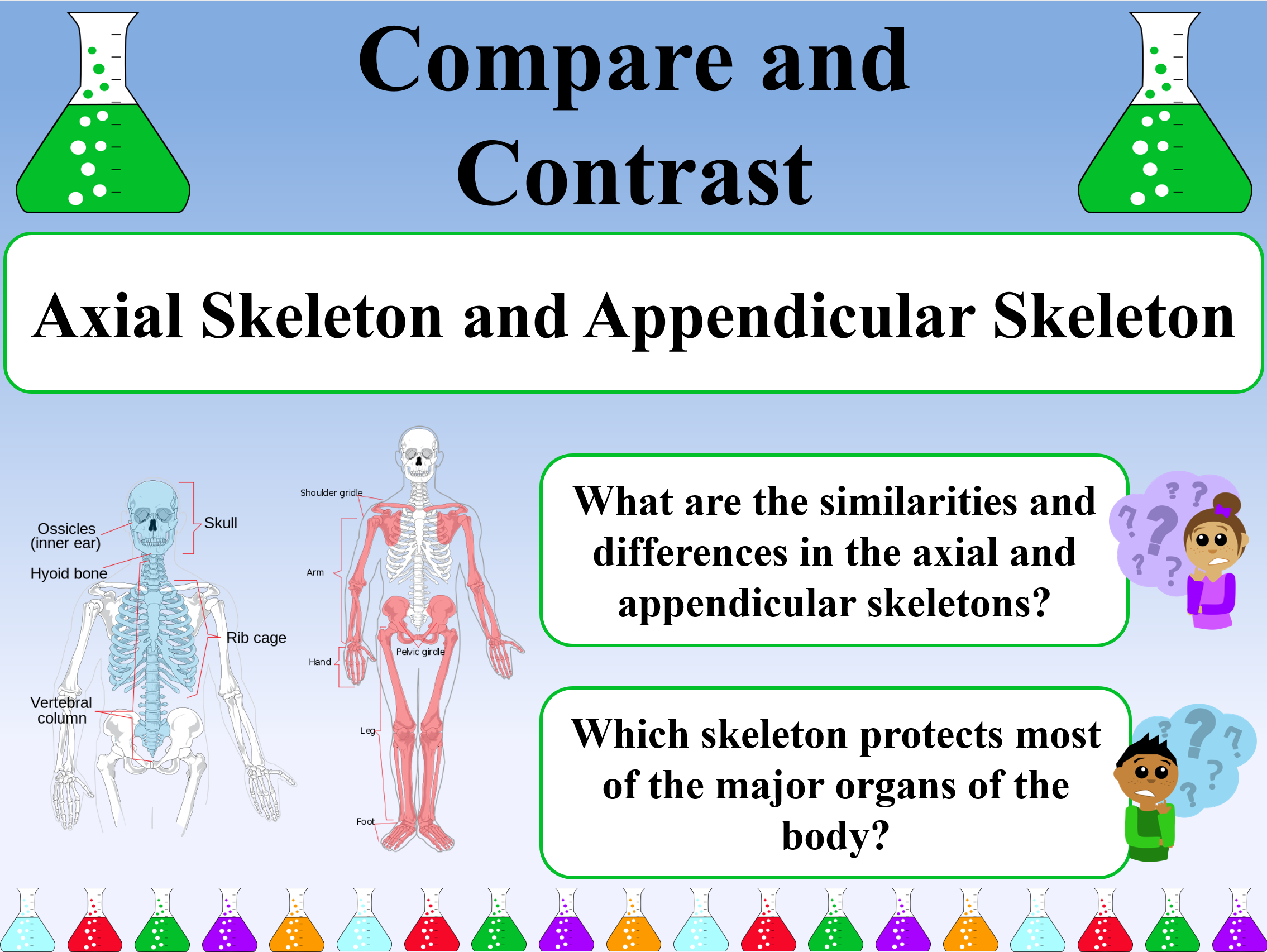 Four Weeks of Human Body Part 3 Bellringers Warm Ups | Teaching Resources