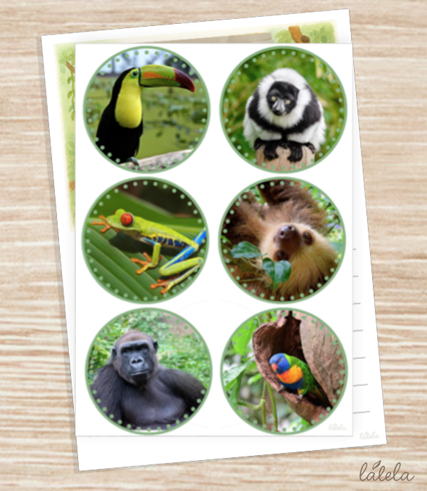 EYFS Writing - Jungle-Themed Literacy | Teaching Resources
