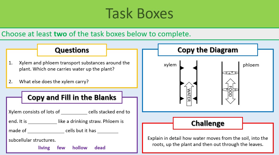 Revision Plant Cell Organisation (from topic 2) GCSE Biology AQA ...