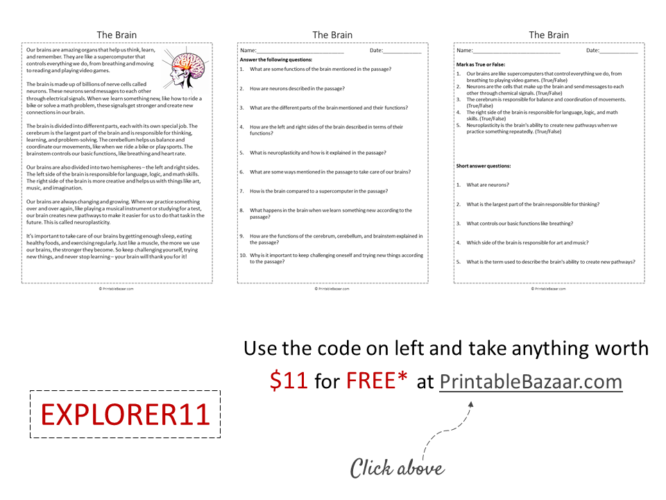 The Brain Reading Comprehension Passage Printable Worksheet | Teaching ...
