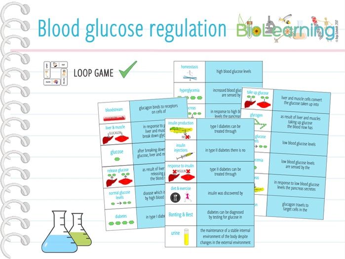 Blood glucose regulation - Loop Game (KS4) | Teaching Resources