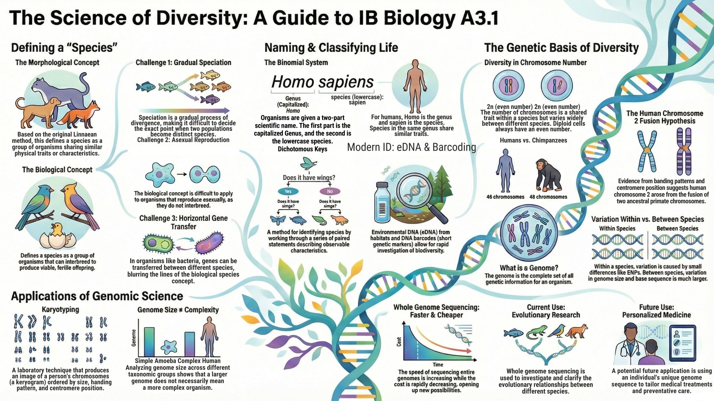 IB DP Biology Digital Infographic Poster: A3.1 Diversity of Organisms ...