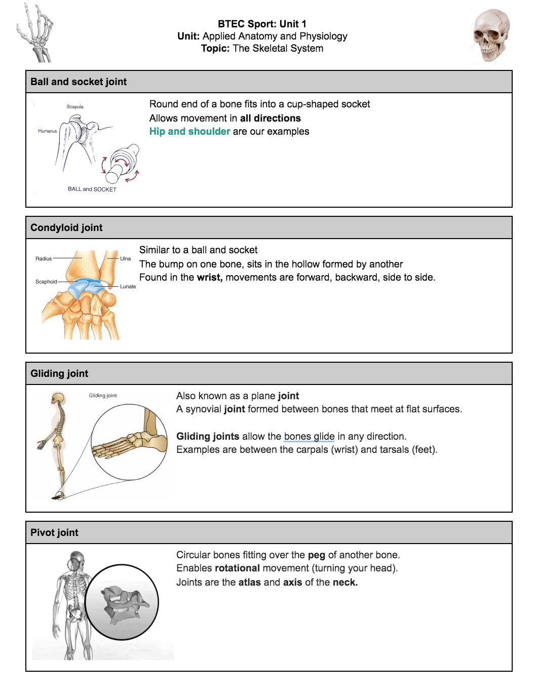 Skeletal System BTEC Sport Unit 1 Teaching Resources