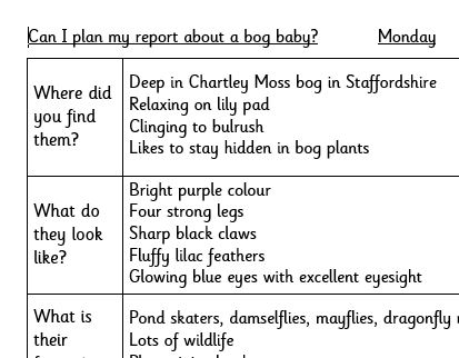 The Bog Baby Unit of Work | Teaching Resources
