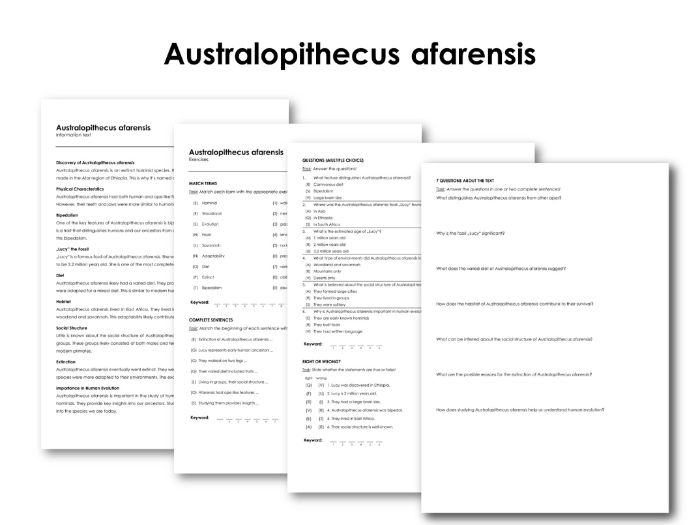 Australopithecus afarensis | Teaching Resources
