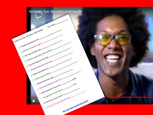 Scientific Eye Biology Bonanza - x 7! | Teaching Resources