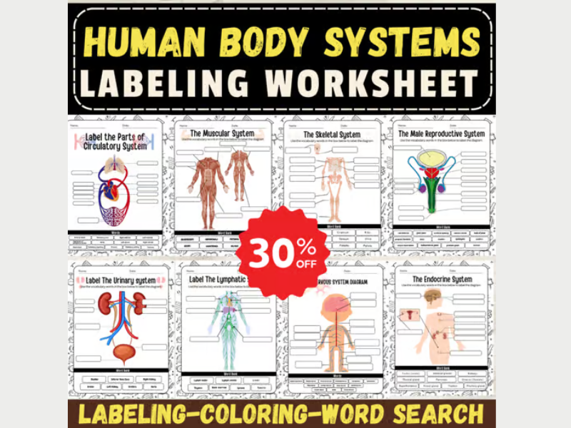 Human Body Systems Labeling Worksheet Bundle: Explore Anatomy ...