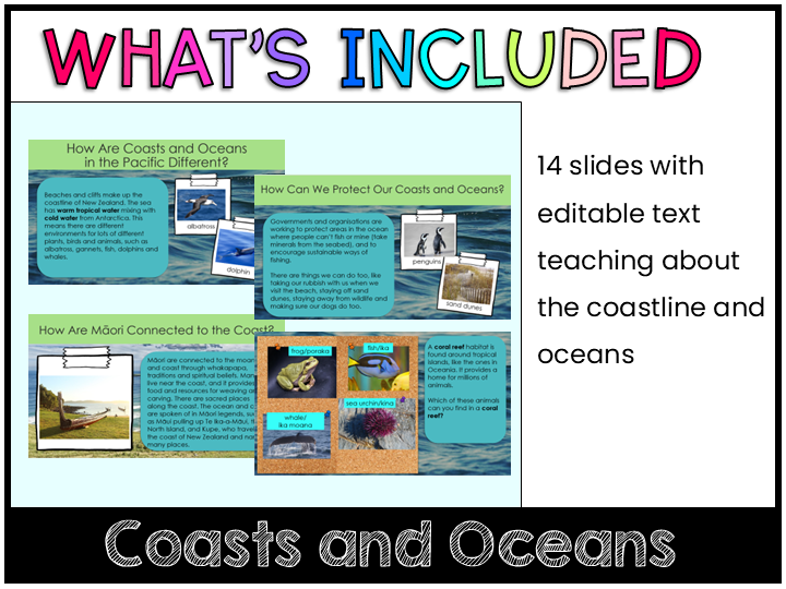 Year 3 Geography NZ Curriculum Coastal Environments Lesson Slides ...