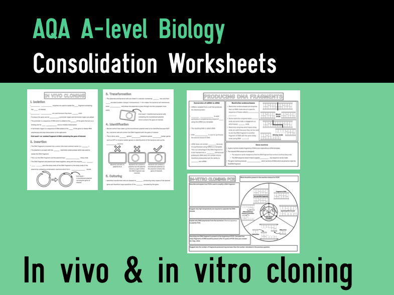 In Vivo and In Vitro (PCR) Cloning A-level Biology Summary Worksheets ...