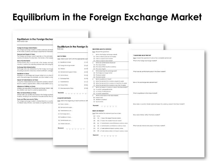 Equilibrium in the Foreign Exchange Market | Teaching Resources