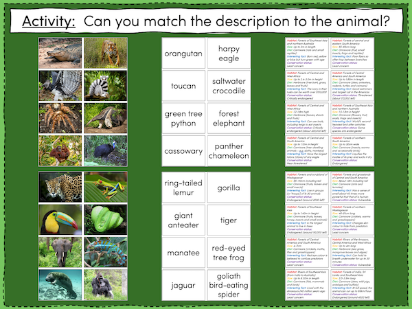 Identifying tropical rainforest animals - KS2 | Teaching Resources