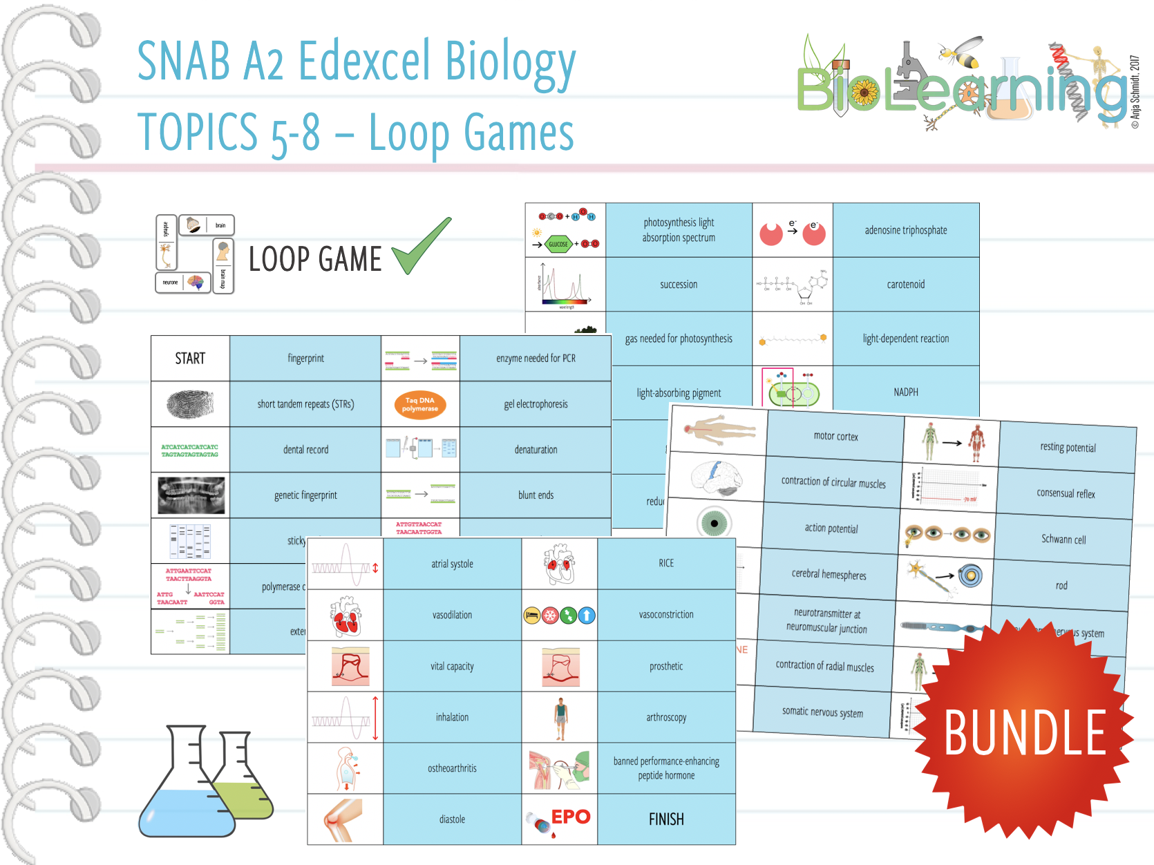 SNAB Biology Topics 5-8 - Loop Games | Teaching Resources
