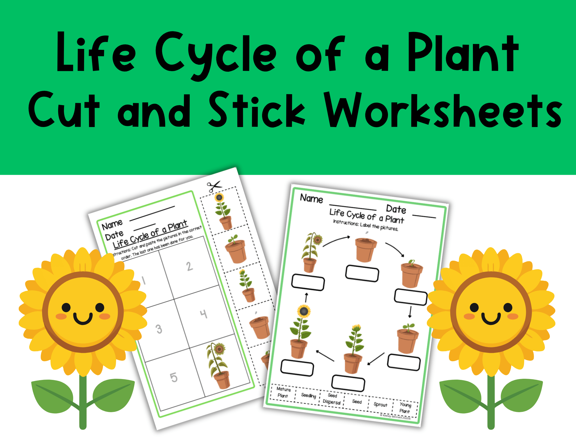 Plant Life Cycle Cut and Stick Labelling Activity Worksheets. KS1 ...