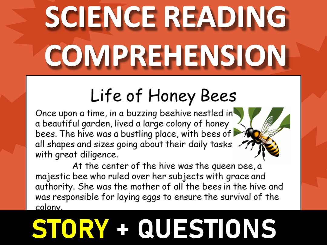 Life of Honey Bees Reading Science Story Comprehension Questions ...