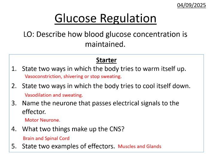 AQA GCSE Biology Blood Glucose Control Lesson | Teaching Resources