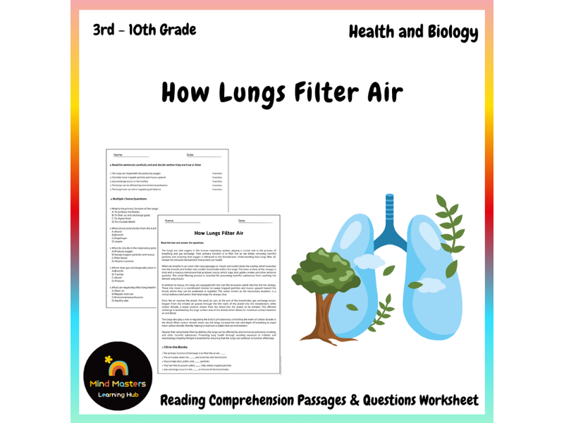 How Lungs Filter Air Reading Comprehension Passages & Questions ...