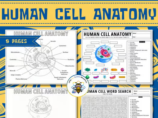 Human Cell Anatomy | Science Labeling Worksheet, Word Search, Coloring ...