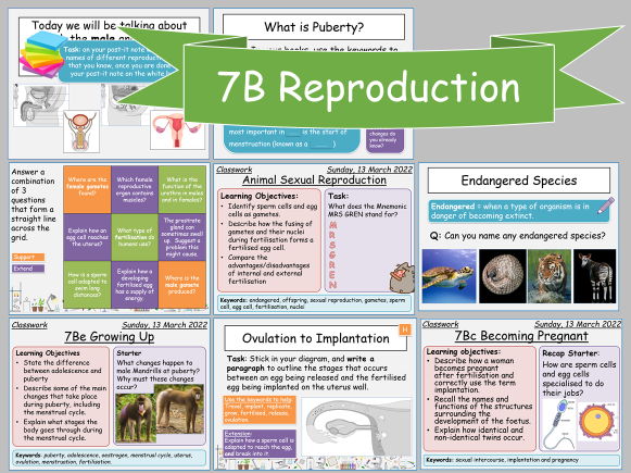 7B Reproduction 5 Lesson Bundle (Exploring Science) | Teaching Resources