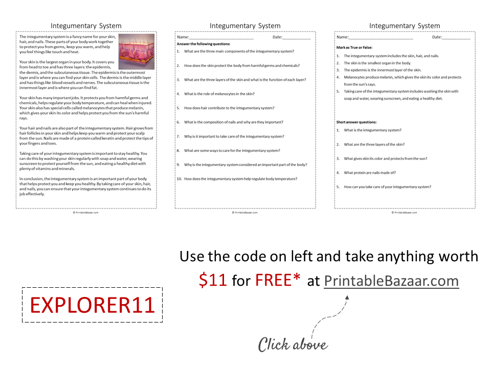 Integumentary System Reading Comprehension Passage Printable Worksheet ...