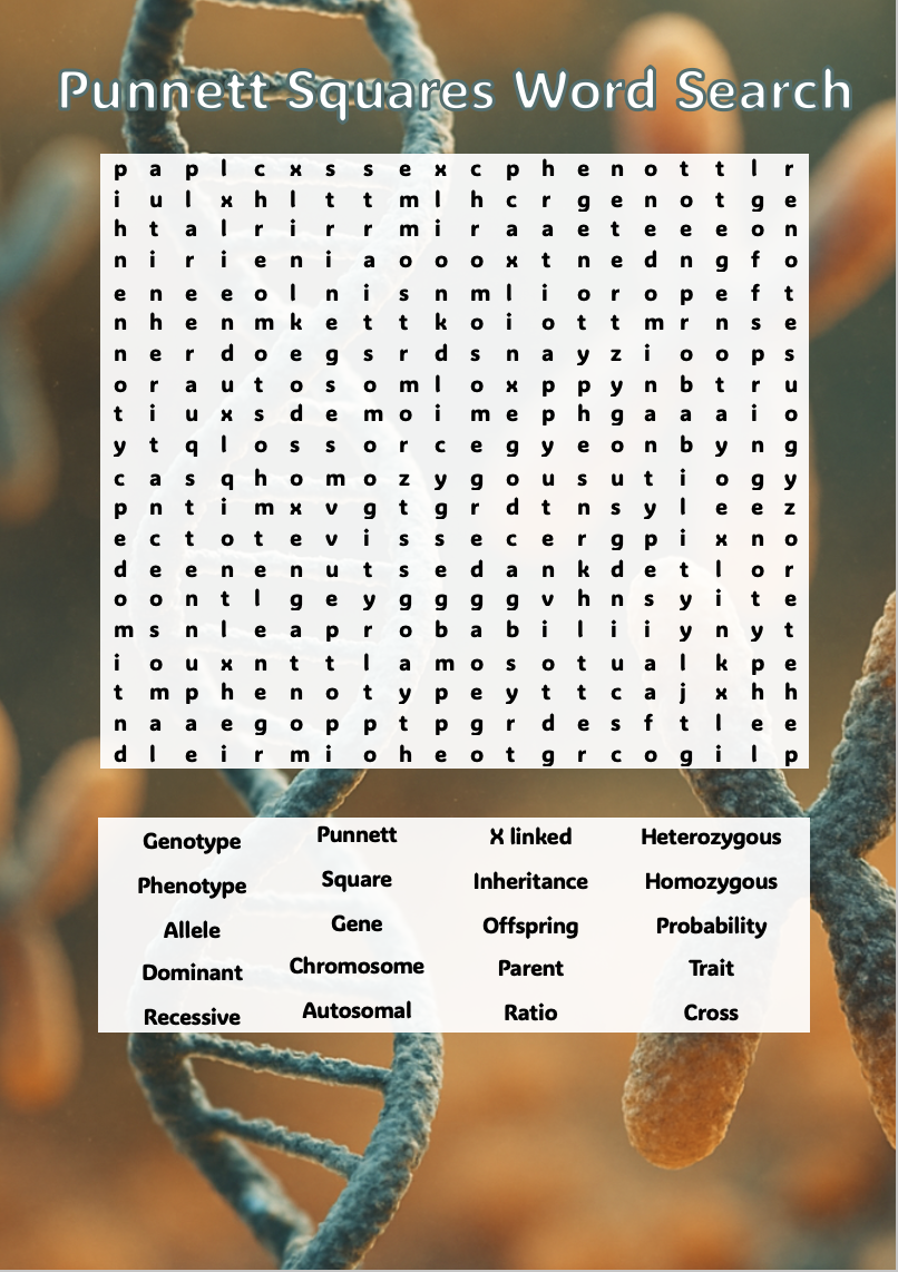 Punnett Squares Word Search | Genetics Vocabulary Review | Inheritance ...