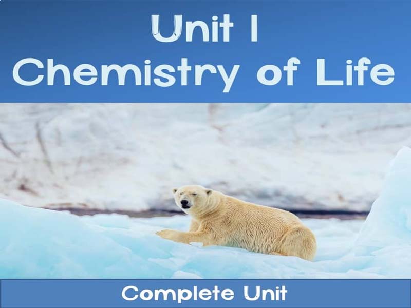 AP Biology Unit 1: Chemistry of Life | Teaching Resources