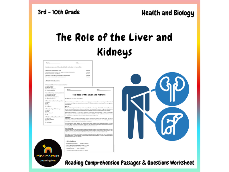 The Role of the Liver and Kidneys Reading Comprehension Passages ...