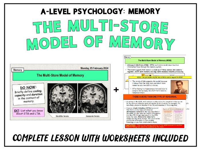A-Level Psychology - THE MULTI-STORE MODEL OF MEMORY [Memory Topic ...