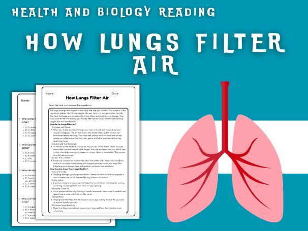 How Lungs Filter Air - Health Reading Worksheet | Teaching Resources
