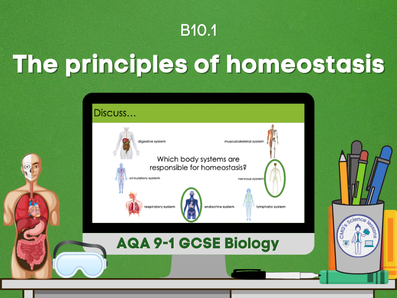 Principles Of Homeostasis Teaching Resources Principles Of Homeostasis Teaching Resources
